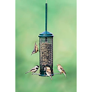 Squirrel Buster Mini Squirrel-proof Bird Feeder w/4 Metal Perches, 1.3lbs Seed Capacity, garden green