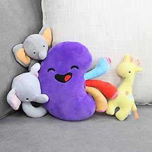 Attatoy Plush Kidney, Stuffed Body Organ Toy for Get Well Gift, Health Education and More