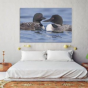 Common Loon Baby Bird Family Canvas Poster Bedroom Decor Sports Landscape Office Room Decor Gift,Canvas Poster Wall Art Decor Print Picture Paintings for Living Room Bedroom Decoration 12x18inch(30x45