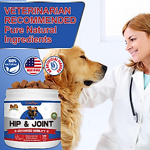 ColEaze Joint Supplement for Dogs, Glucosamine Chondroitin for Dogs Joint Pain Relief, MSM - Advanced Mobility Chews Reduce Inflammation, Hip & Joint Care - Chicken Flavor - 120 Ct