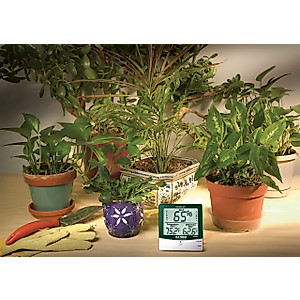 EXTECH Instruments Digit Thermometer