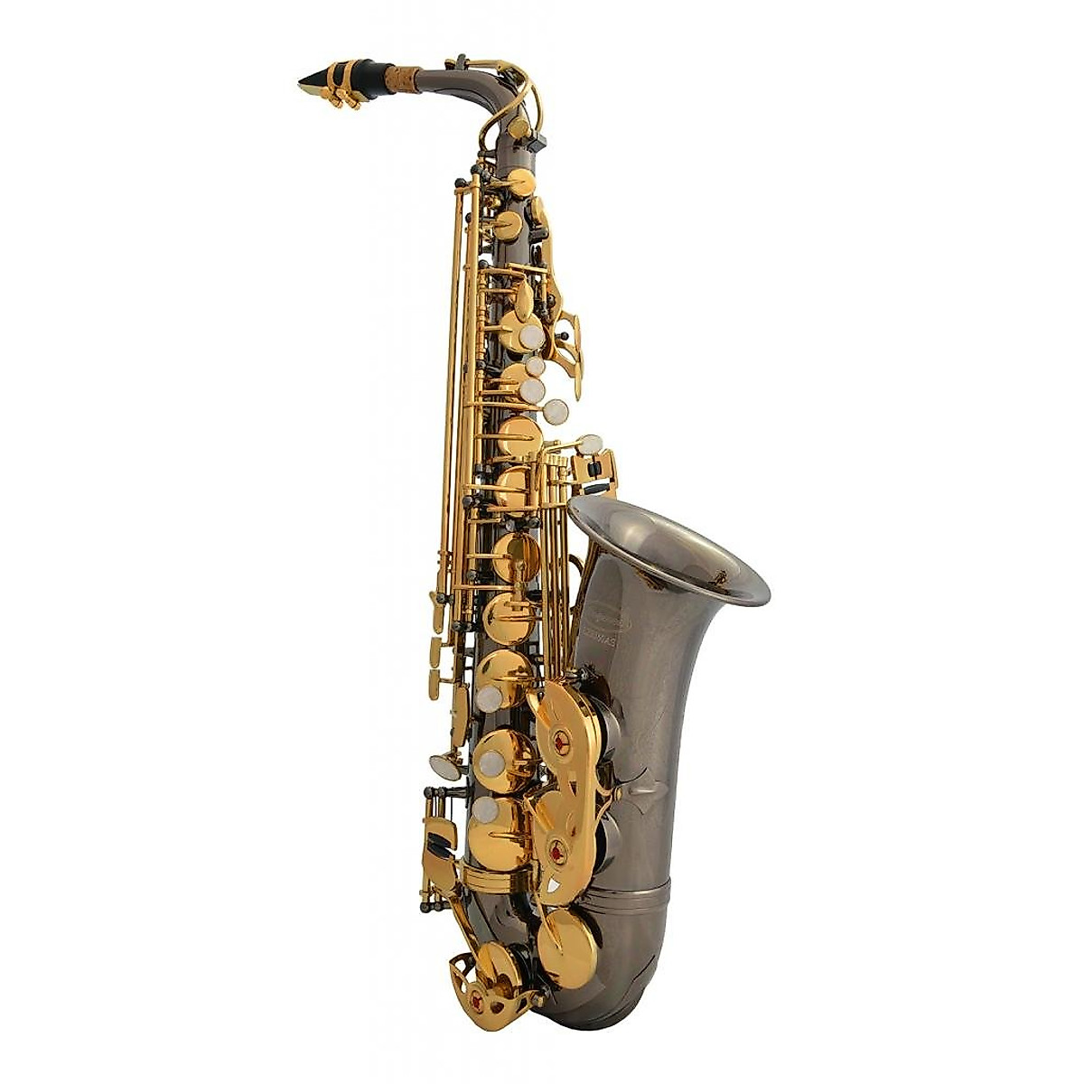 Professional Black Nickel Body Gold Keys E-flat Eb Alto Saxophone Sax with 11 Reeds, Case, Music Book, Mouthpiece and Many Extras, 360-BN