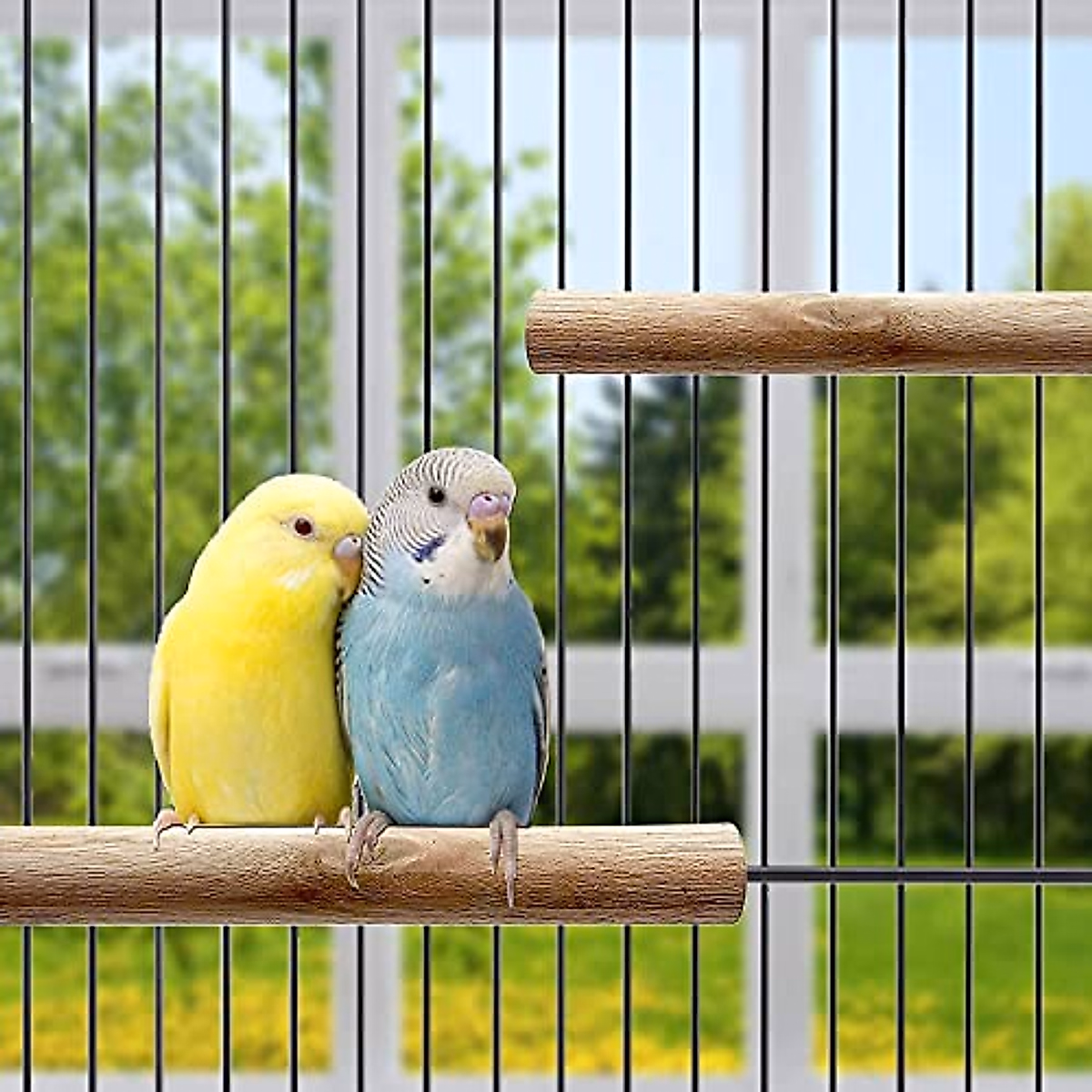 Tfwadmx Parakeet Perch Bird Stand Toy Natural Wood Platform Grinding Nail Cage Accessories for Small Birds Cockatiels Lovebirds Budgie Parrots 8 PCS