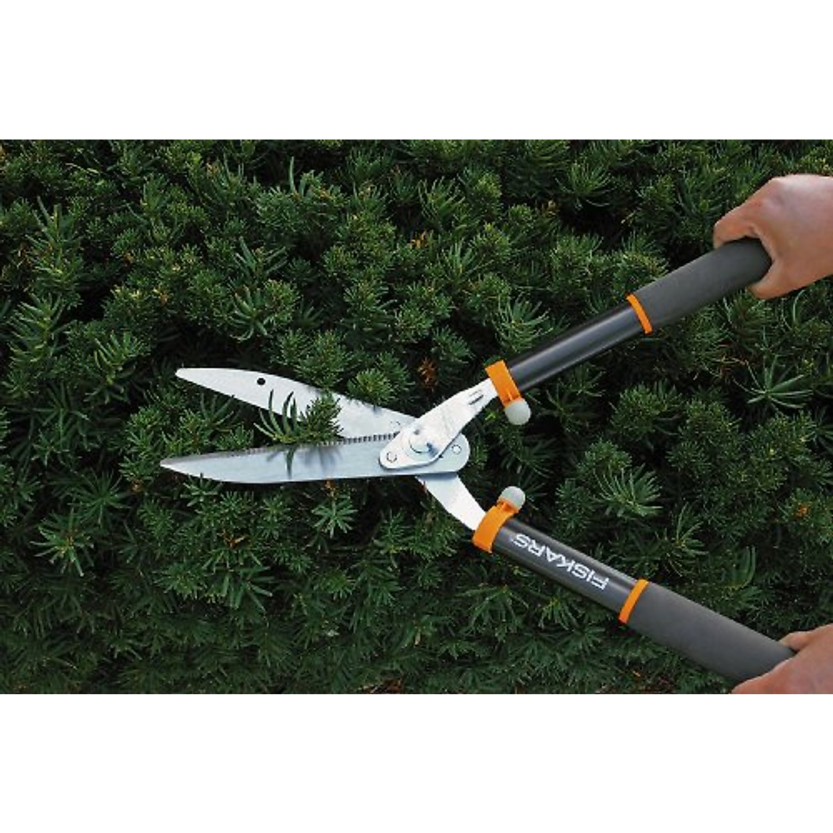 Fiskars 391911-1002 Power Lever 8-Inch Hedge Shears, Pack of 1