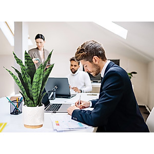 DUZYXI Artificial Snake Plants 16" with White Ceramic Pot Sansevieria Plant Fake Snake Plant Greenery Faux Plant in Pot for Home Office Living Room Housewarming Gifts Indoor Outdoor Decor-Green