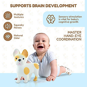 Spud The Frenchie Baby Teething Toys - Teether for Babies 0-12 Months - Baby Teething Relief - Chew and Teething Toys for Babies 6-12 Months - 100% Natural Rubber Baby Toys