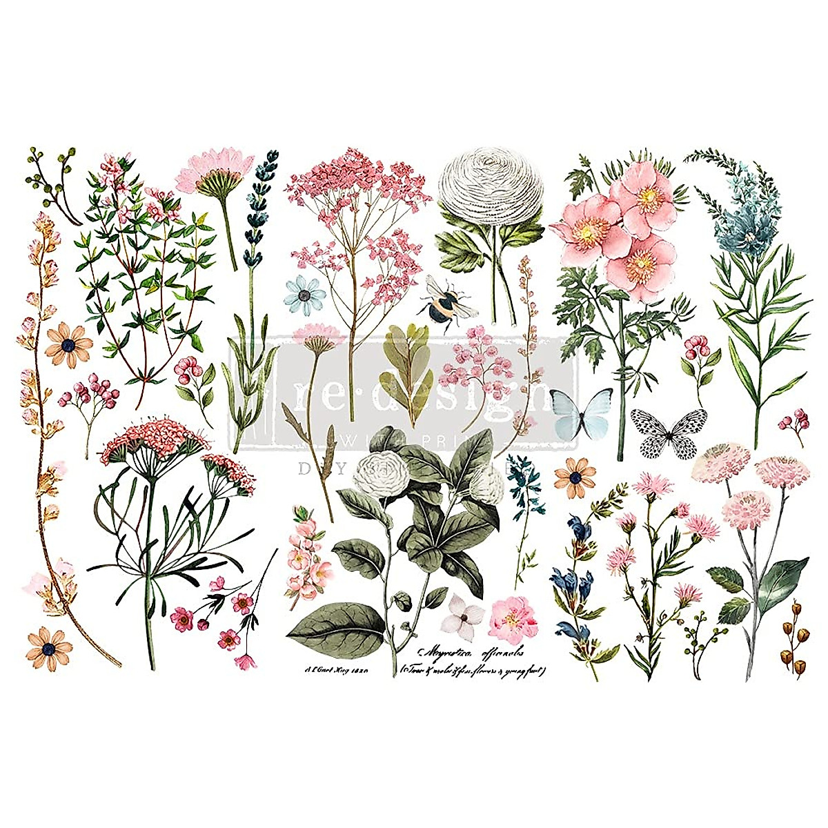 Redesign Decor Transfers - Botanical Paradise - 3 Sheets, 6"x12"