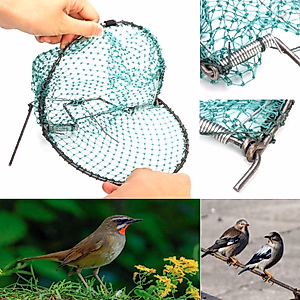 WBTY Catching Bird Net Bird Pigeon Humane Live Trap Mesh for Sparrows Pigeons Quail and Small Birds (20cm)