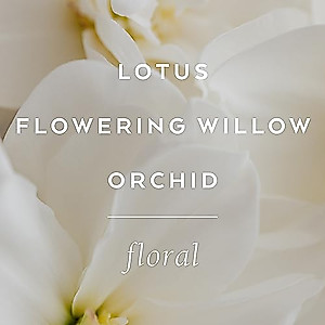 LOLLIA Imagine Dry Body Oil, 6.8 Fl. Oz. – Flowering Willow & Lotus – Women’s Body Oil, Scented Body Oil, Moisturizing Body Oil, Dry Body Oil for Women, For All Skin Types