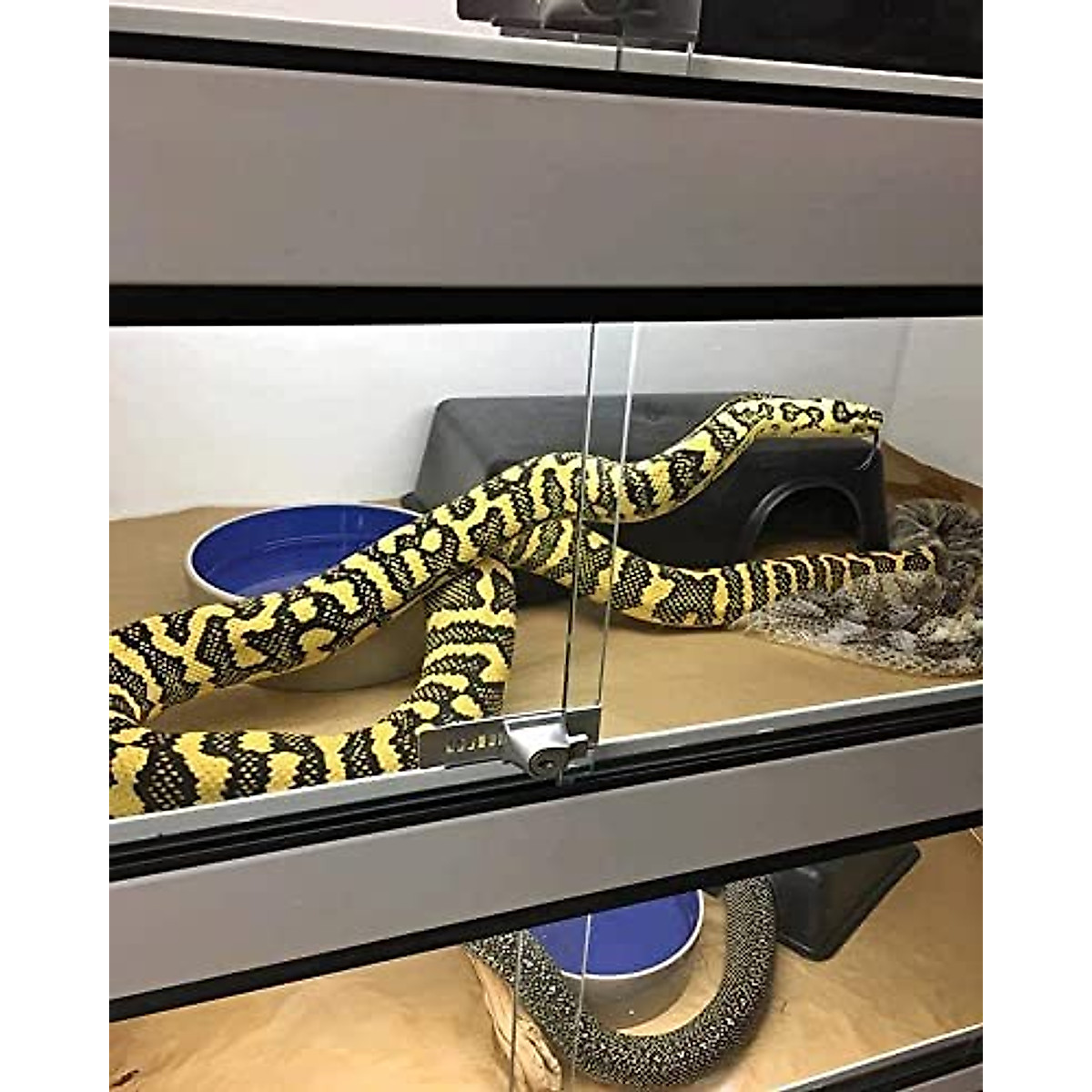 SDZGQPET Amypet Different Size Reptile Use Hide Cave for Snakes,Reptiles, Ball Pythons Durable Material Easy to Clean 10.2 x7.48 x 2.75inch (L)