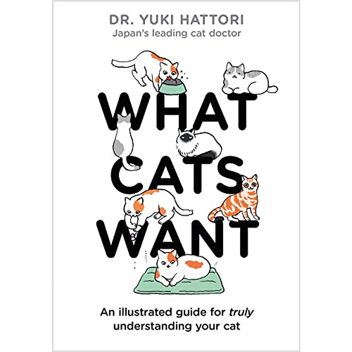 What Cats Want: An illustrated guide for truly understanding your cat