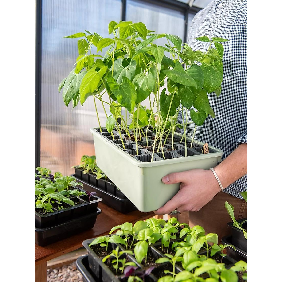 Gardener's Supply Company Deep Root Success | Self Watering Seed Starting Kit, 28-Cell Snap Apart for Easy Transplating | 4.75" Deep Cells, Growing Bin & Vented Humidity Dome