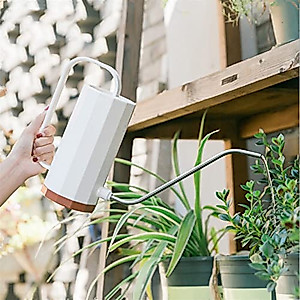 TENAGE Spray Bottle Gardening Watering Can Flower Potted Watering Can Long Mouth Stainless Steel Curved Mouth Watering Can