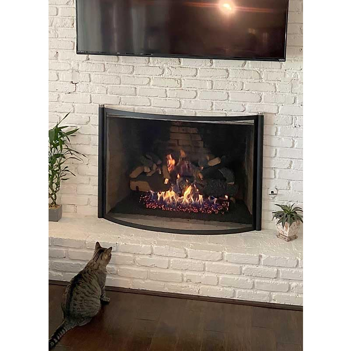 Pilgrim Home and Hearth 18345 Metro Bowed Fireplace Screen, Black and Polished Nickel