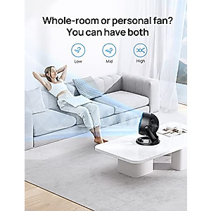 Dreo Fans for Home Bedroom, Table Air Circulator Fan for Whole Room, 9 Inch, 70ft Strong Airflow, 120° adjustable tilt, 28db Low Noise, Quiet, 3 Speeds, 2023 New Desk Fan for Office, Kitchen, Home