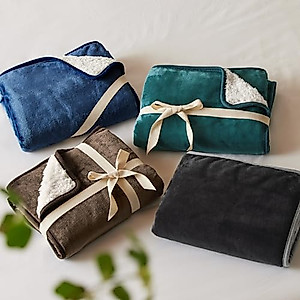 Bedsure Waterproof Blanket for Bed - Sherpa Fleece Waterproof Dog Blankets for Large Dogs, Pet Blankets for Bed/Couch/Dog Crate, Soft Plush Reversible Furniture Protector, Twin Size, 80"x60", Blue