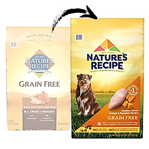 Nature′s Recipe Dry Dog Food, Grain Free Chicken, Sweet Potato & Pumpkin Recipe, 24 lb. Bag