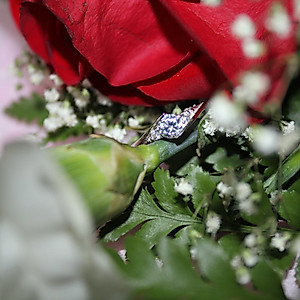 Oxford Diamond Co Sterling Silver Round Yellow Gold Plated CZ Solitaire Fashion Ring Sizes 10