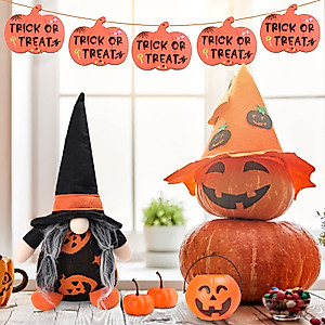 Halloween Tiered Tray Decor Home Table Deccorations - Cute Gnomes Plush and Bead Garland, Trick or Treat Signs Pumpkin Bucket with Led, Foam Pumpkin, Farmhouse Rustic, Black