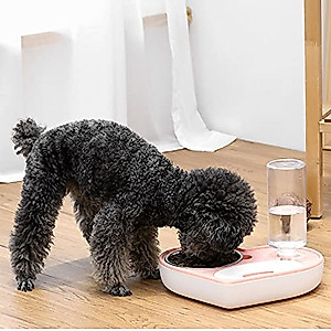 FUUIE Bowls for Food and Water Heart Pet Bowl for Water and Food Dual Use Cat Bowl Automatic Water Feeding Bowl Creative Dog Food Bowl Stainless Steel (Color : Blue)