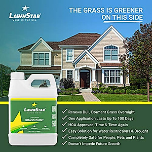 Grass Paint Concentrate (500-1,000 sq ft) - for Dormant, Patchy or Faded Lawn - Lush Green Turf Colorant (32 fl oz)