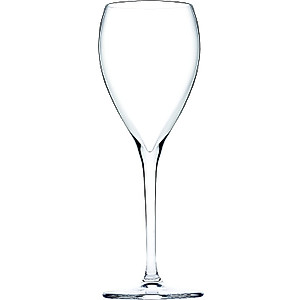 Biandeco Long Stem Wine Glasses Set of 6, 15.38 oz Premium Tempered Thin Rim Glasses for Drinking Red/White Wine, Crystal Clear Lead-Free Sturdy Glass - Made in Europe