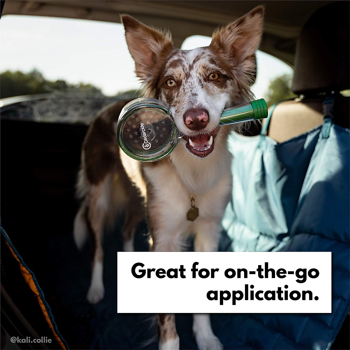 Cedarcide Flea + Tick Pet Brush (Quart Pack) | Durable Grooming Brush Effectively Applies Cedarcide Original Biting Insect Spray to Kill + Repel Fleas Ticks & Mosquitoes | for Pet Cats and Dogs