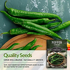 Survival Garden Seeds - Serrano Pepper Seed for Planting - 5 Packs with Instructions to Plant and Grow Spicy Mexican Peppers in Your Home Vegetable Garden - Non-GMO Heirloom Variety