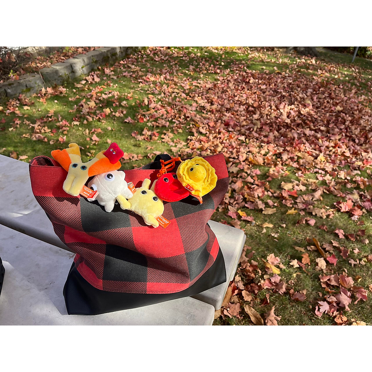 GIANTmicrobes Blood Cells Themed Gift Box, Blood Cell Plush, Blood Bank Laboratory Gifts, Lab Tech Gifts, Hematology Gifts, Leukemia Gifts