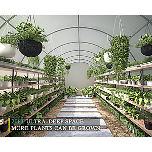 Papababe 20x10x7.5 FT Extra high Large Walk-in Greenhouse for Outdoors, Upgraded Swing Door, Heavy Duty Galvanized Steel Frame Tunnel Greenhouse kit, Reinforced PE Cover & Film Clips, White