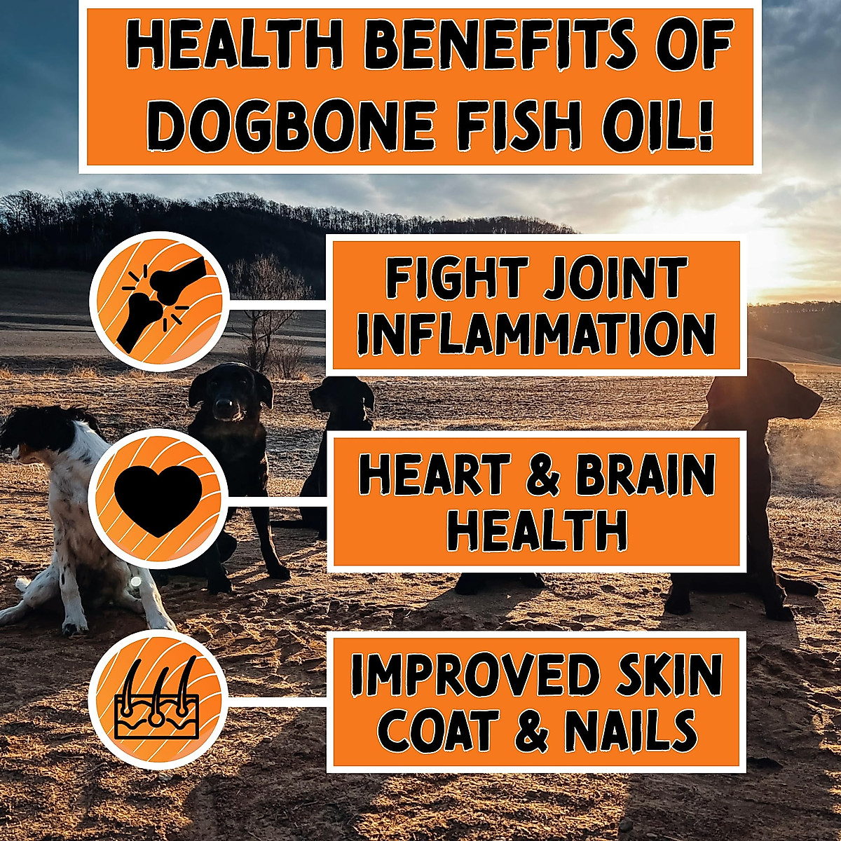 DogBone Wild Alaskan Fish Oil for Dogs 32 oz | Salmon Oil for Dogs | Dog Fish Oil | Omega 3 for Dogs | Dog Joint Supplement | Dogs Vitamins and Supplements | Salmon Oil for Dogs Skin and Coat