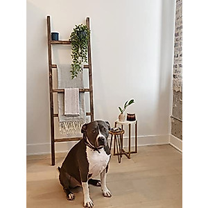 Wood Decorative Wall Leaning Blanket Ladders Bathroom Storage Quilt Towel Display Rack Shelf Holder Rustic Farmhouse, Brown