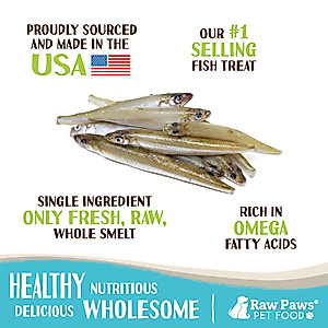 Raw Paws Wild-Caught Smelt for Dog & Cats, 8 lb - Made in USA - Natural Smelt Fish for Dogs - Fish Treats for Cats - Raw Frozen Whole Smelt Treats for Dogs - Fish Snacks for Dogs - Raw Fish for Cats