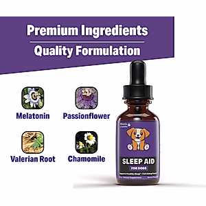 Winnie & Lottie Natural Dog Sleep Aid | Sleep Aid for Dogs | Dog Melatonin | Promotes Deep, Restful Sleep in Dogs | Melatonin for Dogs | Dog Anxiety Relief | Calming for Dogs | Dog Calming | 1 fl oz