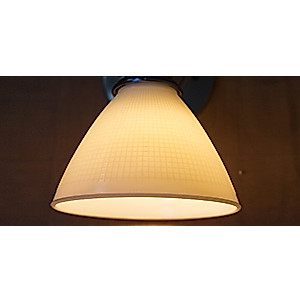 Satco 8 Inch Diameter Reflector-Type IES Replacement Shade for Stiffel