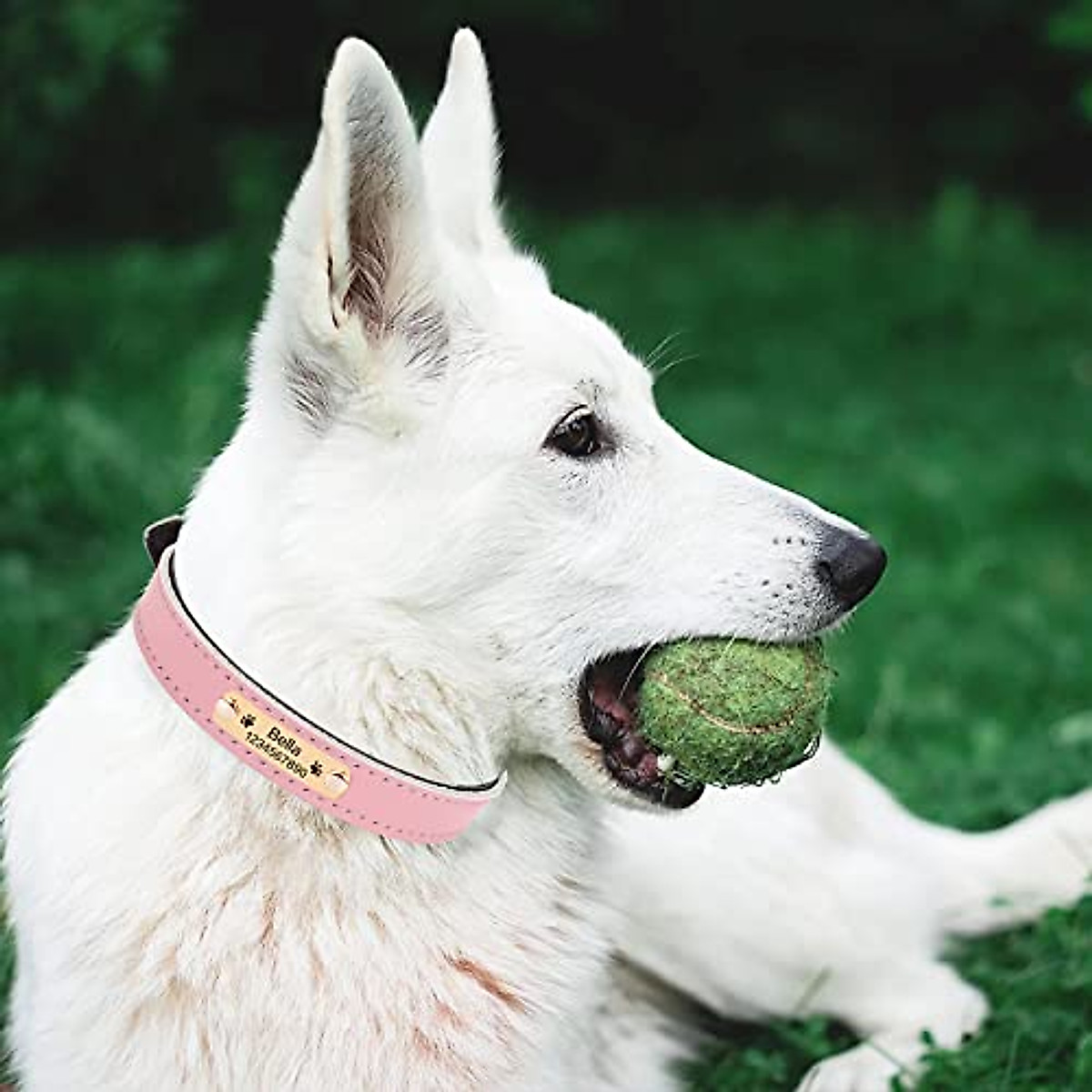 Personalized Leather Dog Collars for Small Medium Large Dogs,Custom Dog Collar with Nameplate, Option to Blue,Pink,Red,Purple,Green,Black,Brown