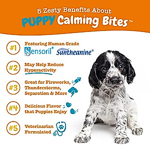 Zesty Paws Calming Chews for Dogs - Composure & Relaxation for Everyday Stress & Separation - with Ashwagandha, Organic Chamomile, L-Theanine & L-Tryptophan – Turkey Puppy - 90 Count