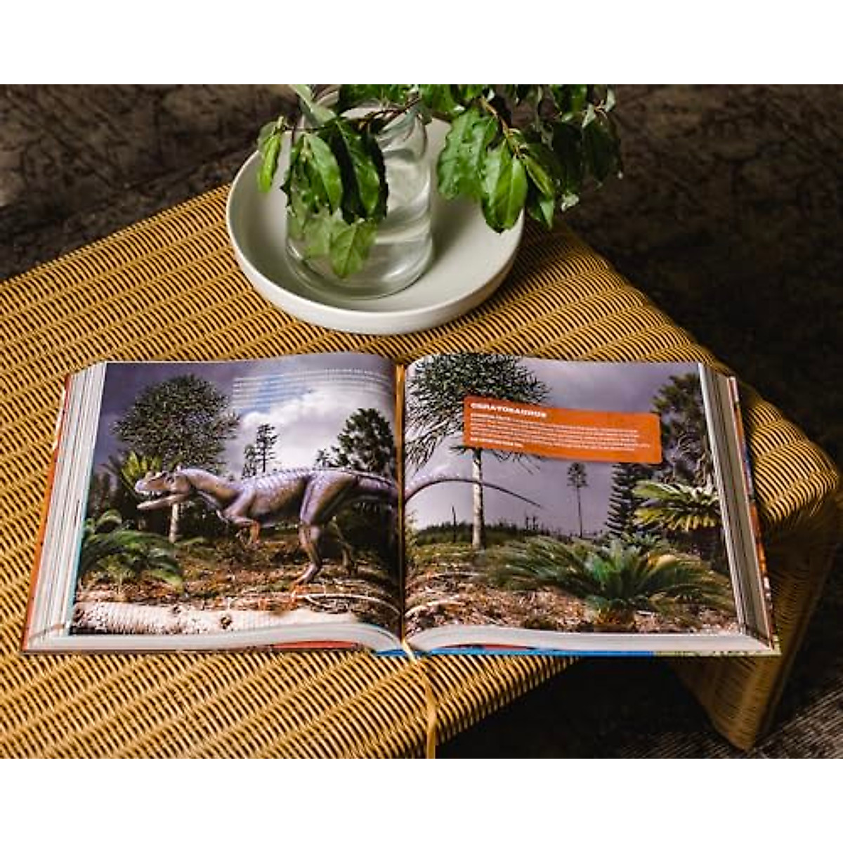 Dinosaur World: Over 1,200 Amazing Dinosaurs, Famous Fossils, and the Latest Discoveries from the Prehistoric Era (Explore The Mesozoic Era with Over 1,200 Dinosaur Species)