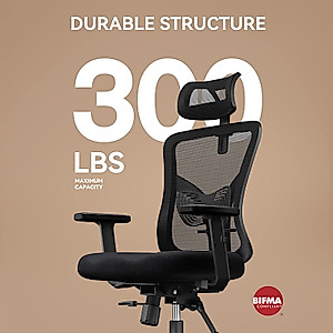 NOBLEWELL Office Chair Ergonomic Office Chair High Back Mesh Computer Chair with Lumbar Support Adjustable Armrest, Backrest and Headrest