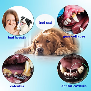 Souroyea Dog Tooth Brushing Kit - Equipped with a Pet Manual Teeth Cleaner, Cat Toothbrush Silicone Finger Wipes for Small & Large Dogs Supplies, Pet Teeth Cleaning Tools & Dental Care Accessories