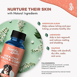 Natural Skin & Coat Supplement for Dogs, Large and Small - Dog Anti Itch Relief for Dry Skin, Rash, Allergy or Irritation - Reduces Shedding, Dandruff and Supports Dog Hair Growth - 400 Small Pills