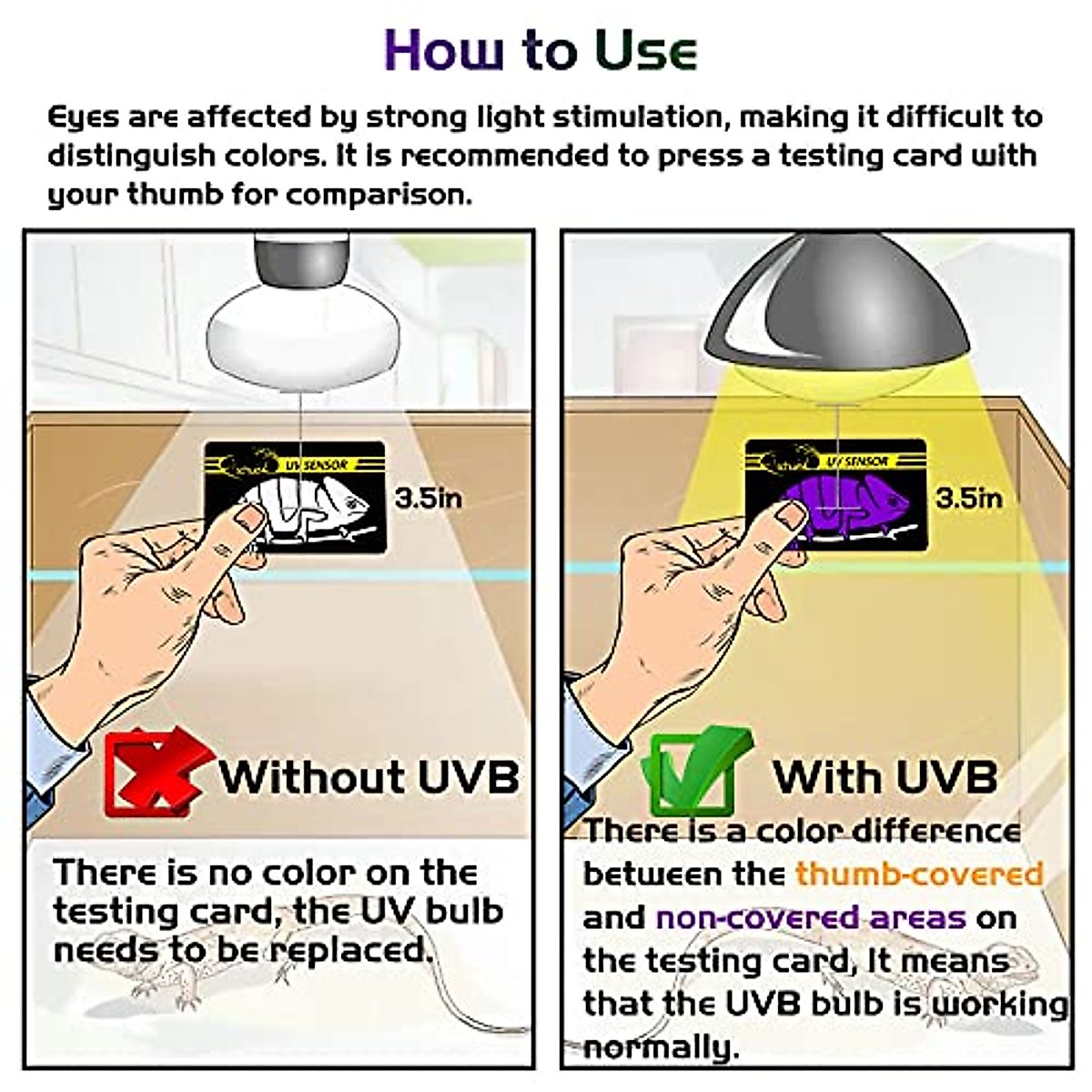 Fischuel Reptile Heat Lamp with Clamp,Dimmable Switch(Bulb Included) & UV Teating Card, Quick Test UVB Sensor, Over 500 Times Reusable (2 Packs)