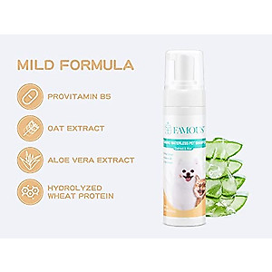 FAMOUS Waterless Cat Shampoo, Dry Shampoo for Cats, Rinse Free and Relieves Hairballs, for Smelly Pets, Natural Ingredients Pet Shampoo Without Alcohol, No Water or Rinses Needed