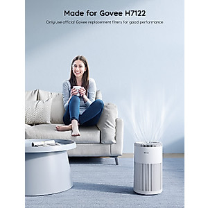 Govee Air Purifier Replacement Filter for H7122101, Pre-Filter, H13 HEPA, High-Efficiency Activated Carbon