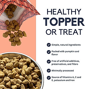 Nutrakins Pumpkin Topper for Dogs - Freeze Dried Dog Treats & Toppers, Raw Flavor Mixers for Meals, Healthy for Picky Eaters, Natural Real Chicken & Wholesome Protein Add Ins, Digestive Health