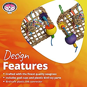 Super Bird Creations SB965 Mini Seagrass Foraging Wall Bird Toy, Small/Medium Bird Size, 8" x 7" x 4"