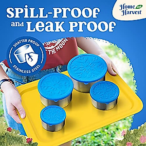 Home and Harvest Stainless Steel Lunch Box For Kids With Lids - Metal Snack Containers For Lunch Box 4 Pack