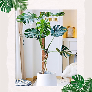 2 Pack Moss Pole for Plants Monstera - 25 Inch Moss Poles for Climbing Plants Monstera, Bendable Plant Stakes for Indoor, Handmade Coco Coir Monstera Plant Support for Plants Grow Upward