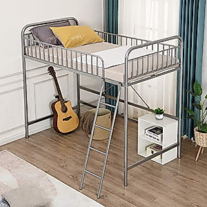 Twin Loft Bed with Full-Length Guardrail and Ladder (Silver)