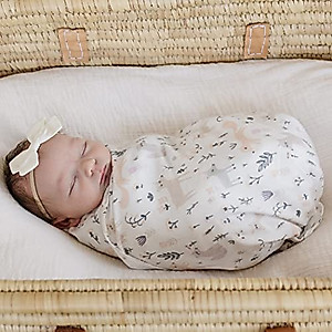 Trend Lab 4 Pack Flannel Receiving Blankets, (103779), Mystical Forest , 30x30 Inch (Pack of 4)